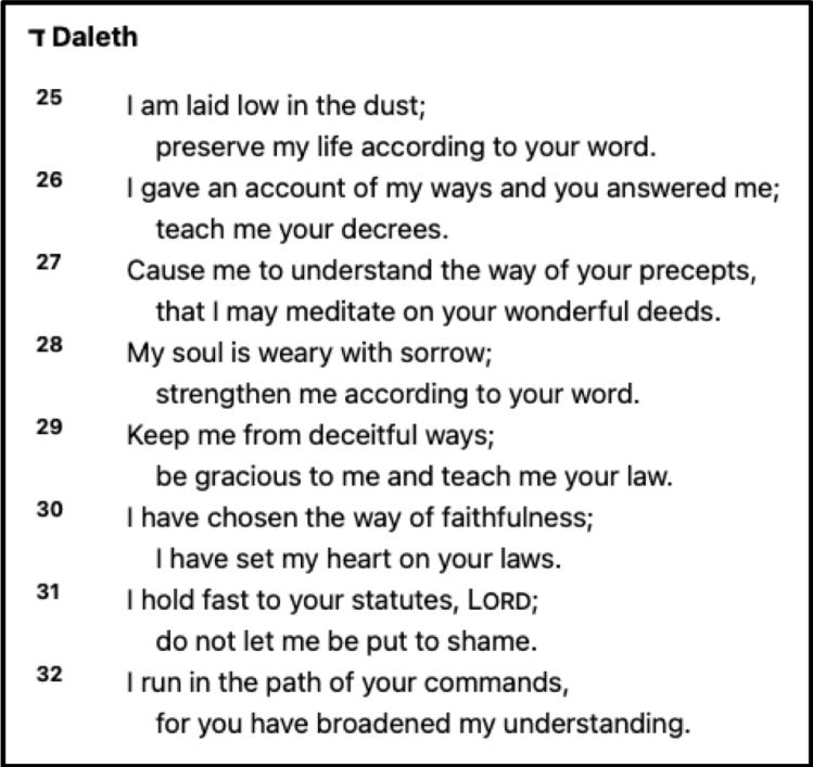Daleth-Frame – Fortitude